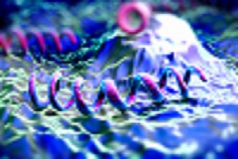 Sexually Transmitted Infection (STI) Program | Health and Human ...